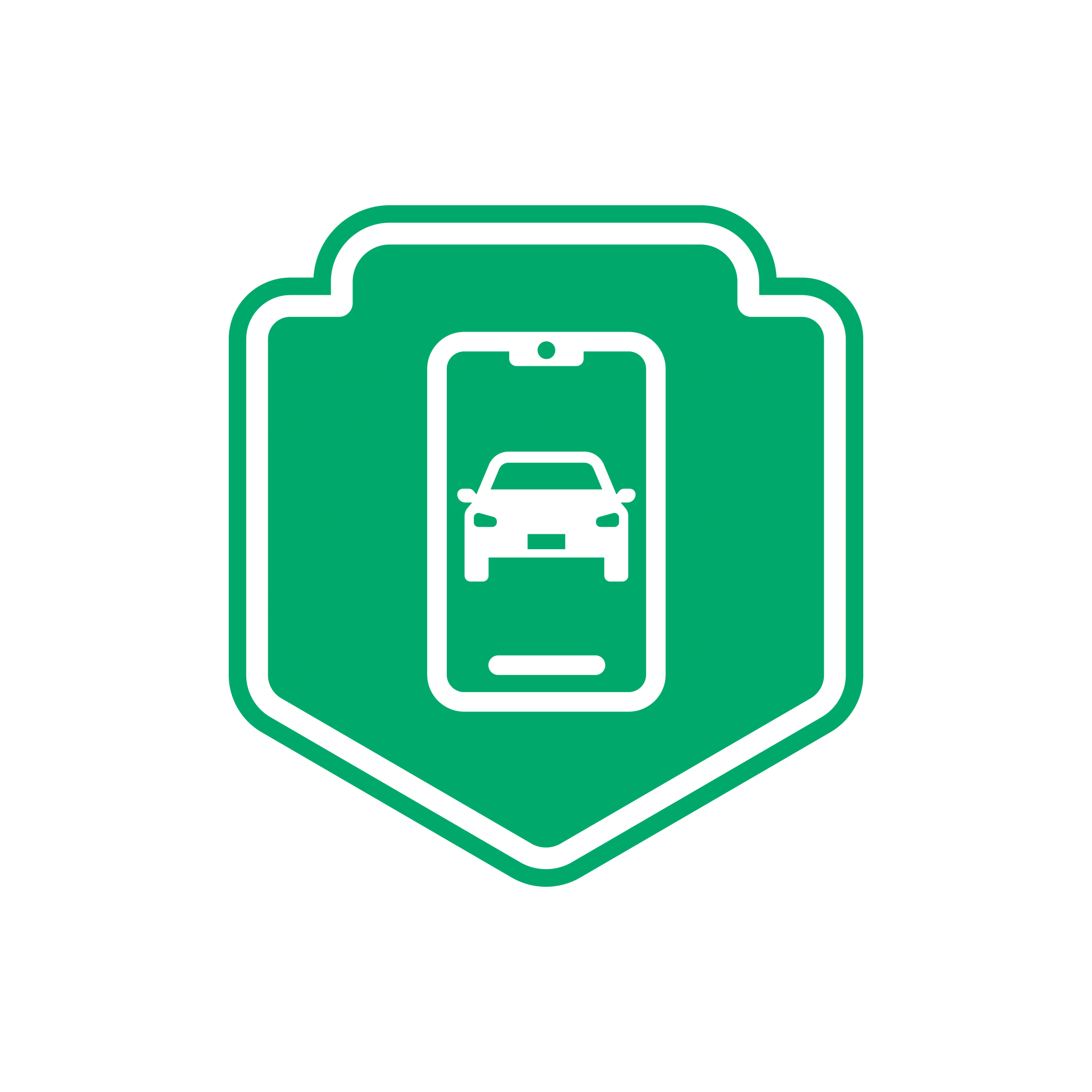 Car Sales – Standard Of Care - Enterprise Car Sales